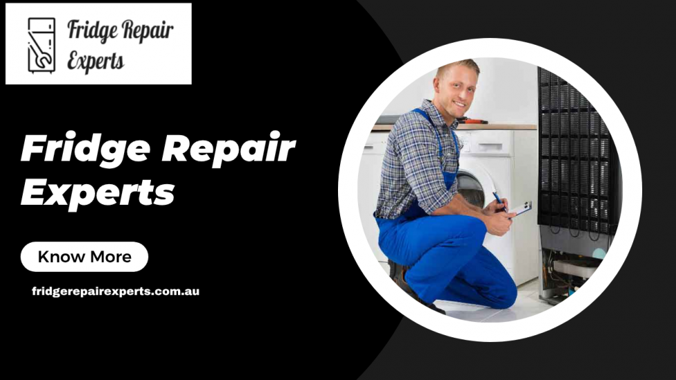 How Does Dust Cause Damage To Your Fridge and How Can You Fix It?